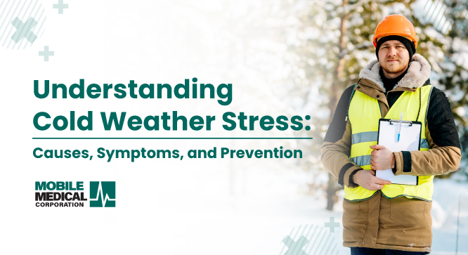 Understanding Cold Weather Stress: Causes, Symptoms, and Prevention